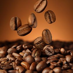 Different Types of Coffee Machines for Foodservices | Parts Town