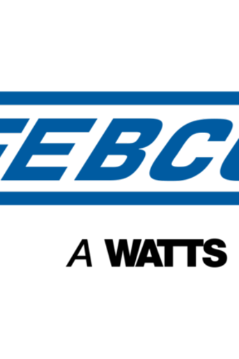 FEBCO Pressure Vacuum Breaker Troubleshooting | Parts Town