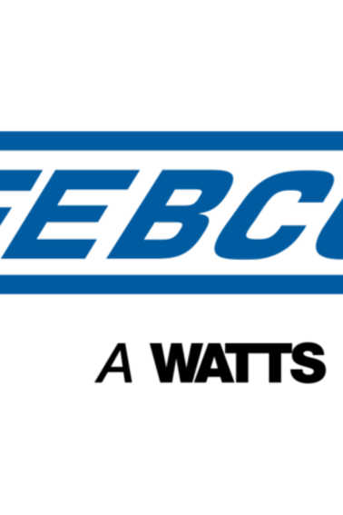 FEBCO Pressure Vacuum Breaker Troubleshooting | Parts Town