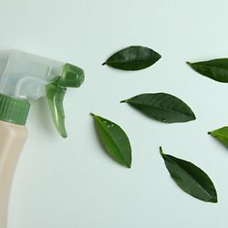Green Cleaning in Commercial Kitchens | Parts Town