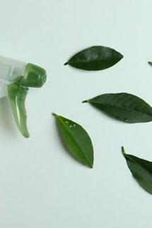 Green Cleaning in Commercial Kitchens | Parts Town