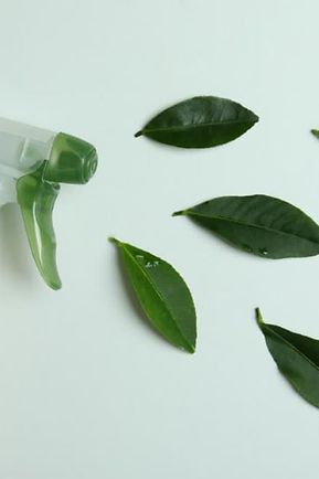 Green Cleaning in Commercial Kitchens | Parts Town