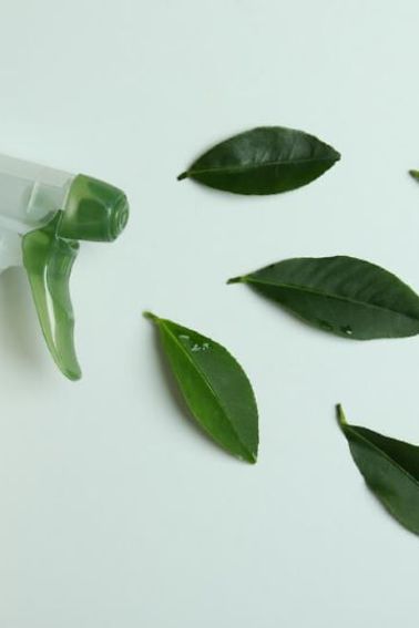 Green Cleaning in Commercial Kitchens | Parts Town